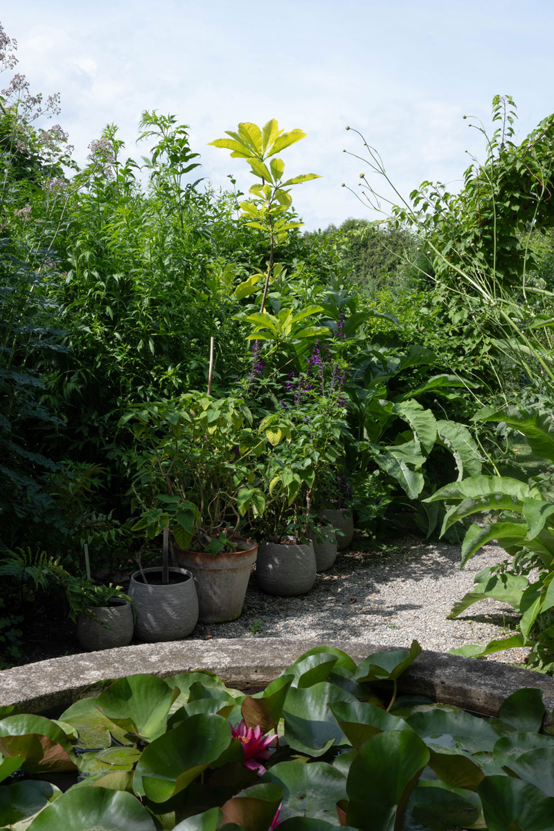 exoten­­­­­­garten | Gartenatelier