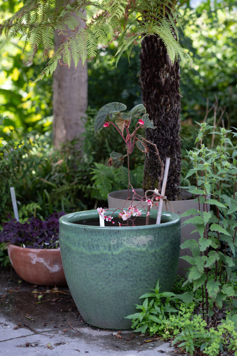 exoten­­­­­­garten | Gartenatelier